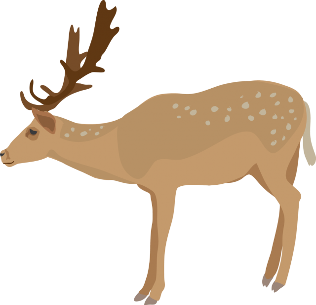 Transparent Background Deer Clipart - Png Download - Full Size Clipart ...