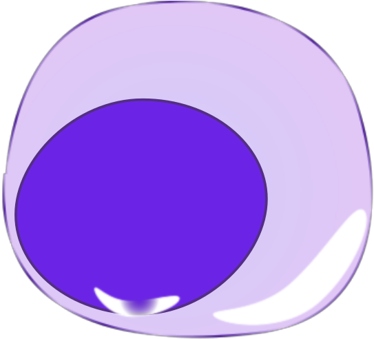 Lymphocyte B Antibody Secretion Blue Svg Clip Arts - Renard - Png ...