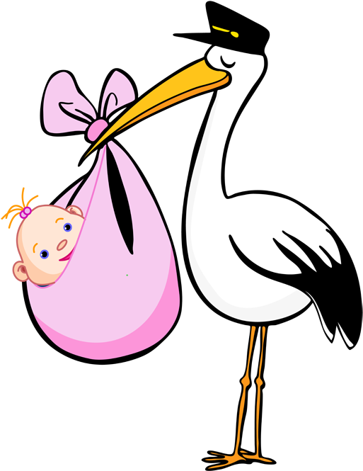 Stork Vector Clipart - Baby Girl Stork Clipart - Png Download - Full ...