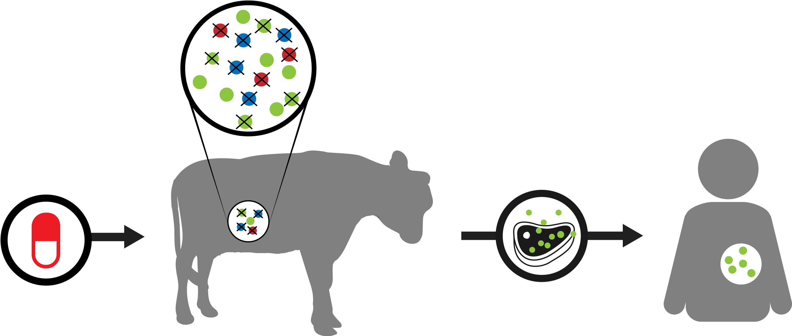 Download Team Tudelft Igem Org Clipart (#5582932) - PinClipart