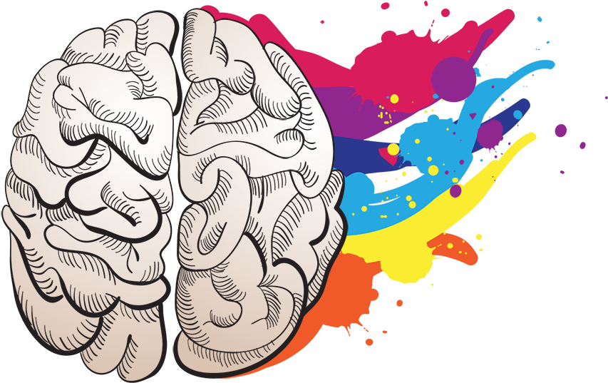 Transparent Creative Brain Png Clipart - Full Size Clipart (#5588364 ...