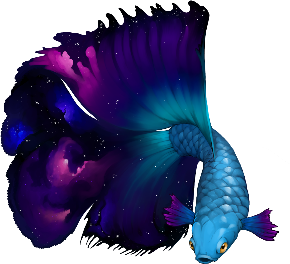 Betta Nebula - Portable Network Graphics Clipart - Full Size Clipart ...