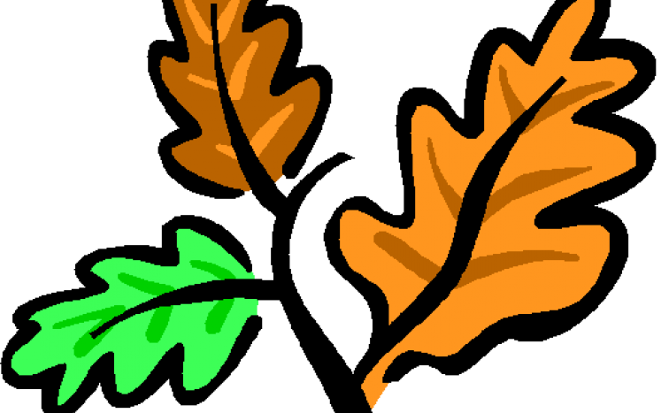 Download Fall Yard Cleanup - Leaves Clip Art - Png Download (#5605509 ...