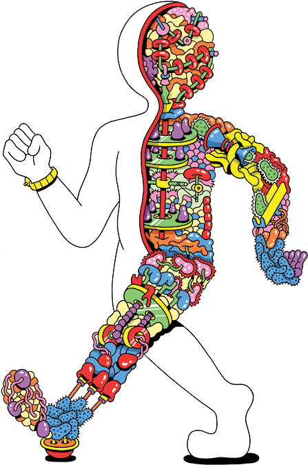 Download Micro Dude - Digestive System Funny Clipart - Png Download ...