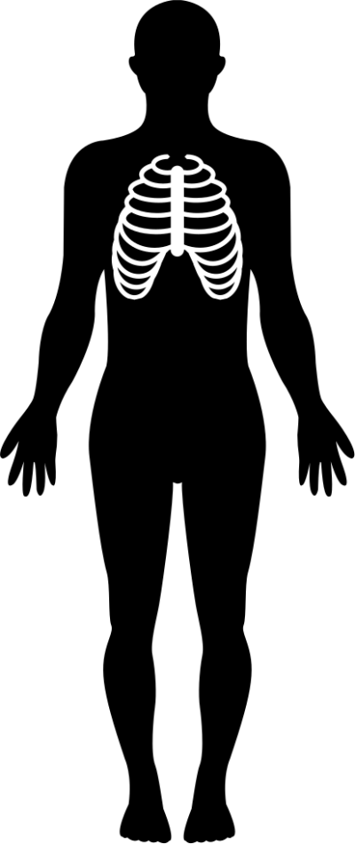 Download Human Body Shape Png Clipart (#5616916) - PinClipart