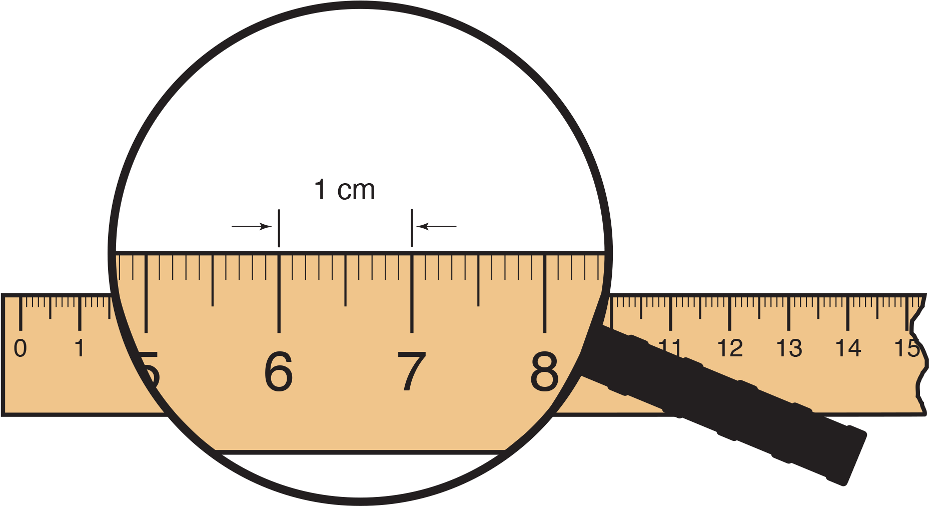 Download Meter Stick Close Up Clipart (#5617808) - PinClipart