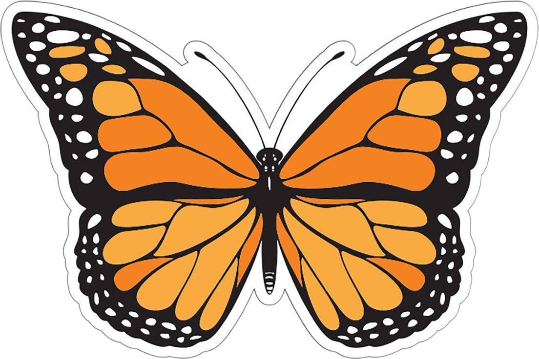 Butterfly Template Clipart - Full Size Clipart (#5621736) - PinClipart