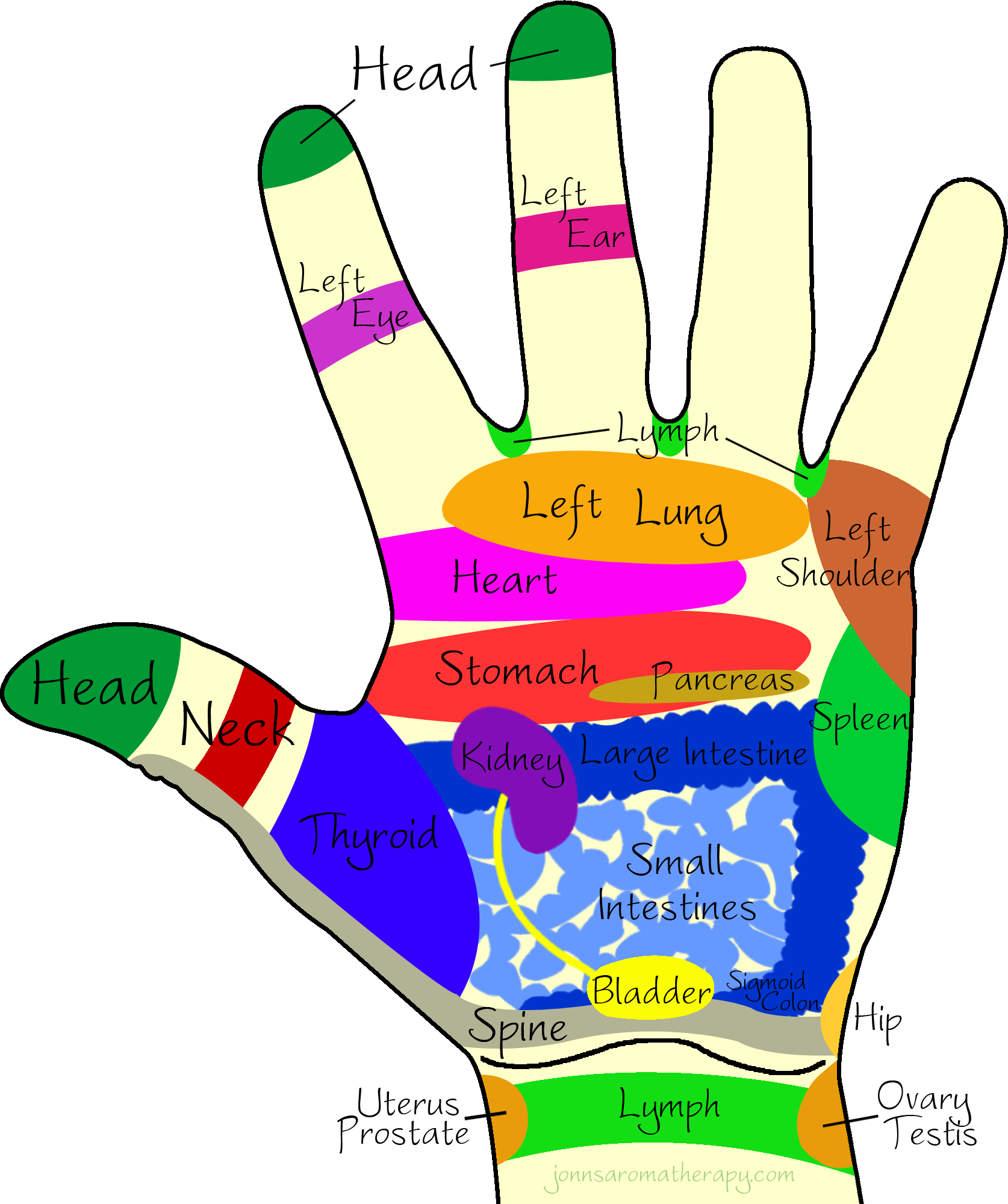 Transparent Massage Hands Clipart - Colour Therapy On Hands - Png ...