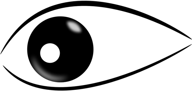 Shark Eyes Clip Art - Png Download - Full Size Clipart (#5644696 ...