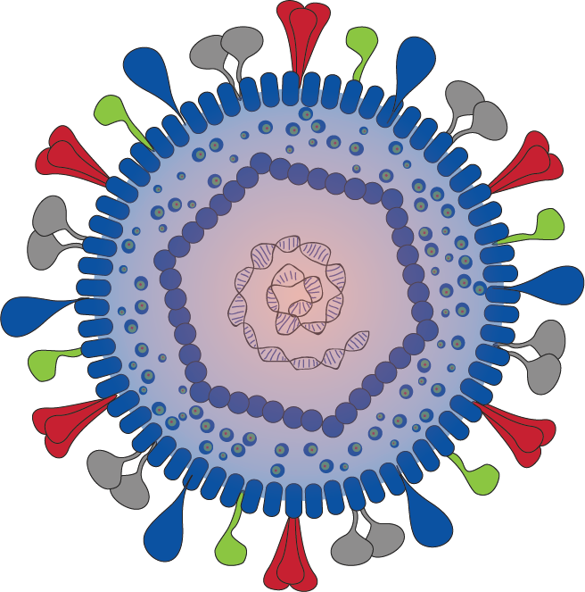 Download Herpes Simplex Virus Cartoon Clipart (#5646021) - PinClipart