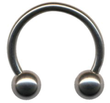 Download Body Jewelry Jewellery Piercing Barbell Earring Ring ...