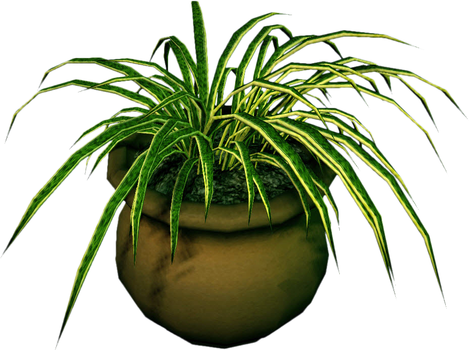 Download Transparent Marijuana Plant Clipart - Dead Plant Png (#5648717 ...