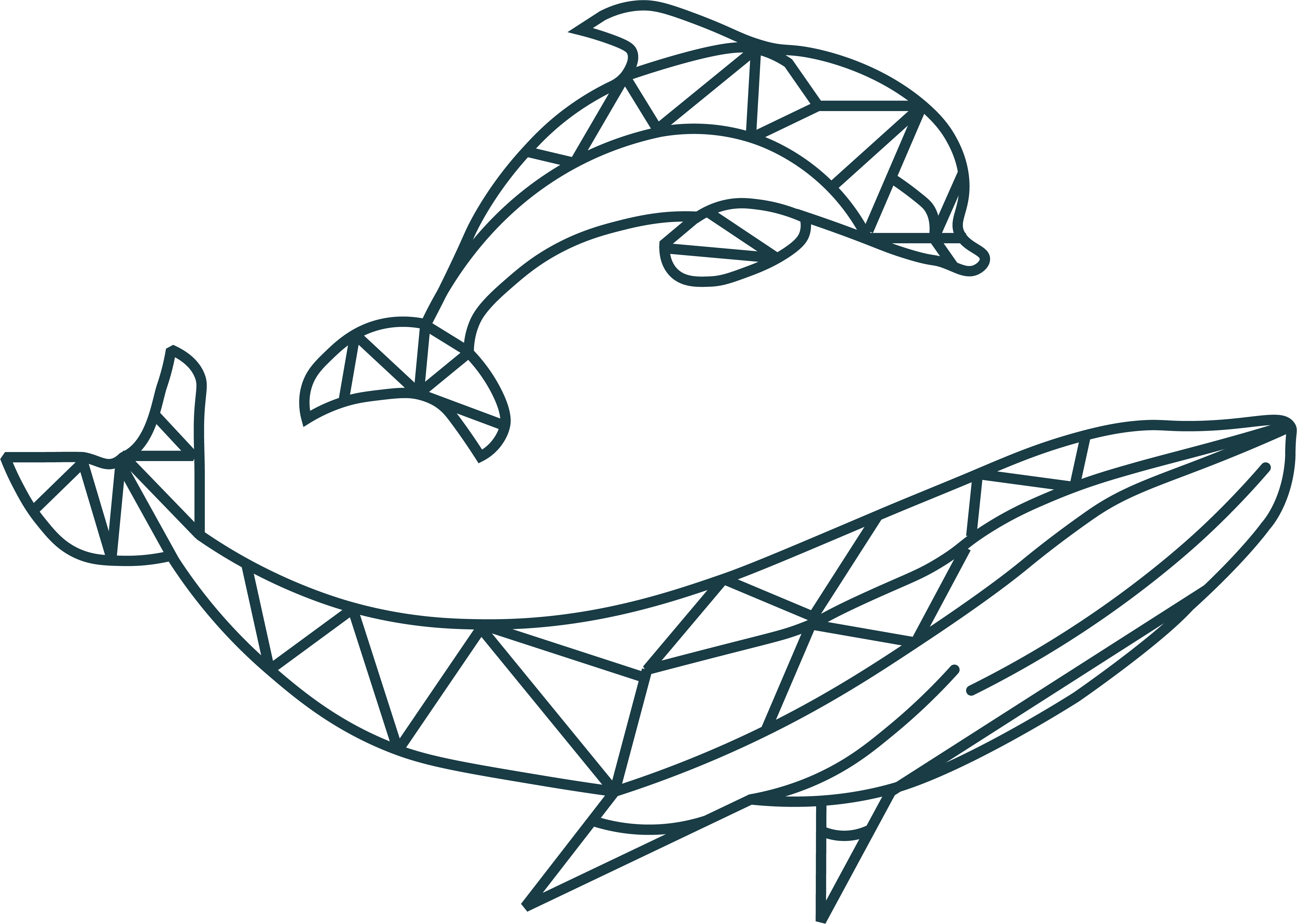 Hwdt Logo - Hebridean Whale And Dolphin Trust Clipart - Full Size ...