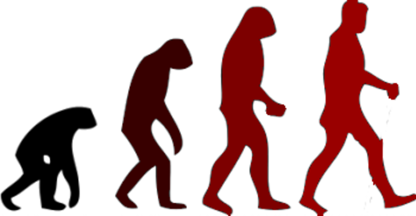 March Of Progress Human Evolution Neanderthal - Monkey To Human Stages ...