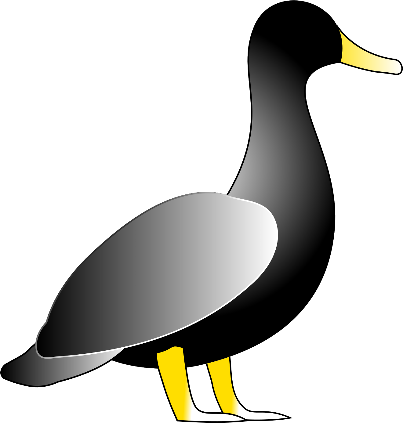 American Black Duck Clipart - Full Size Clipart (#5685989) - PinClipart