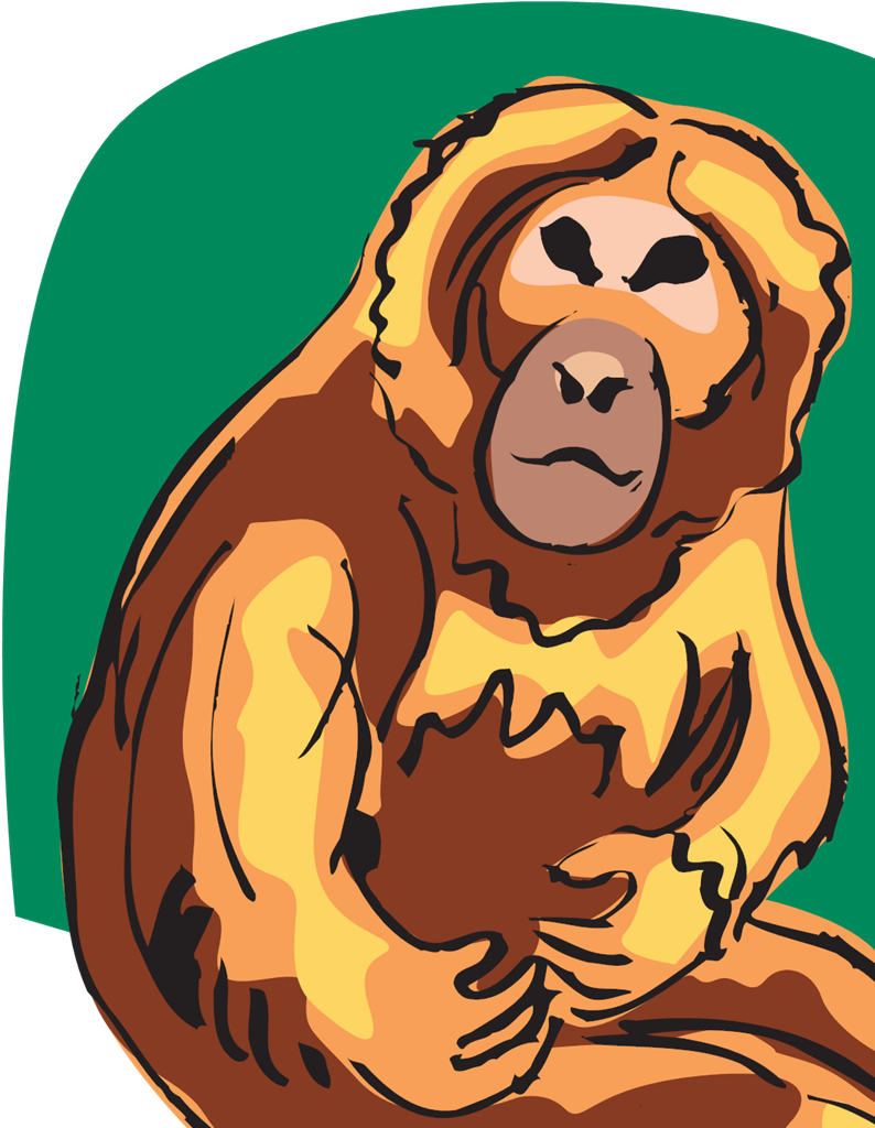 Chimpanzee Clipart - Full Size Clipart (#5686135) - PinClipart
