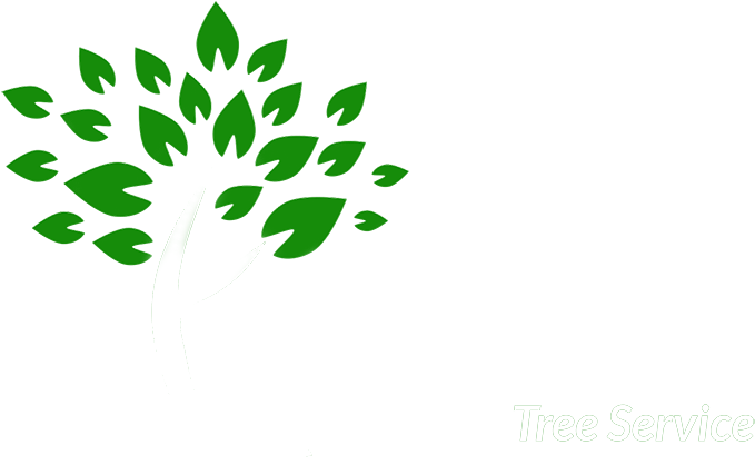 Your Image - Stick Figure Tree Clipart - Full Size Clipart (#5690783 ...