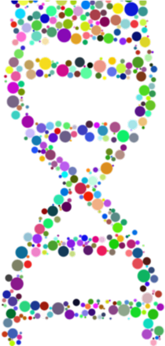 Human Genome Project Png Clipart - Full Size Clipart (#5693116 ...