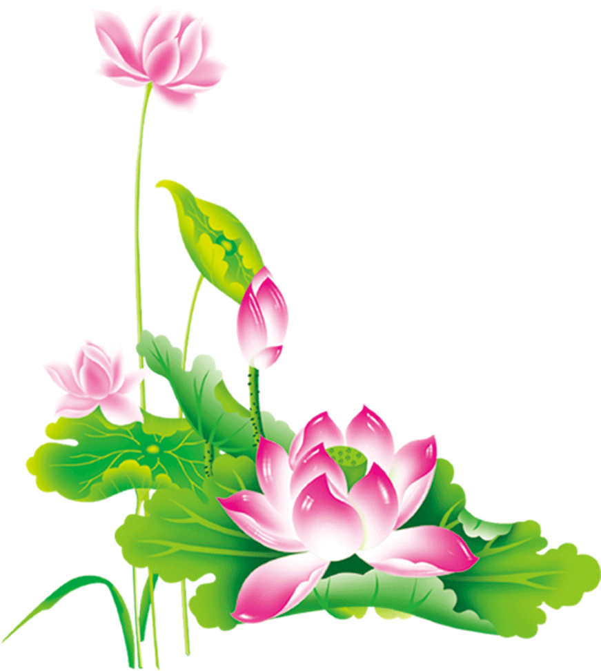 Transparent Chinese Flower Png - Chinese Flowers Clipart Png - Full ...