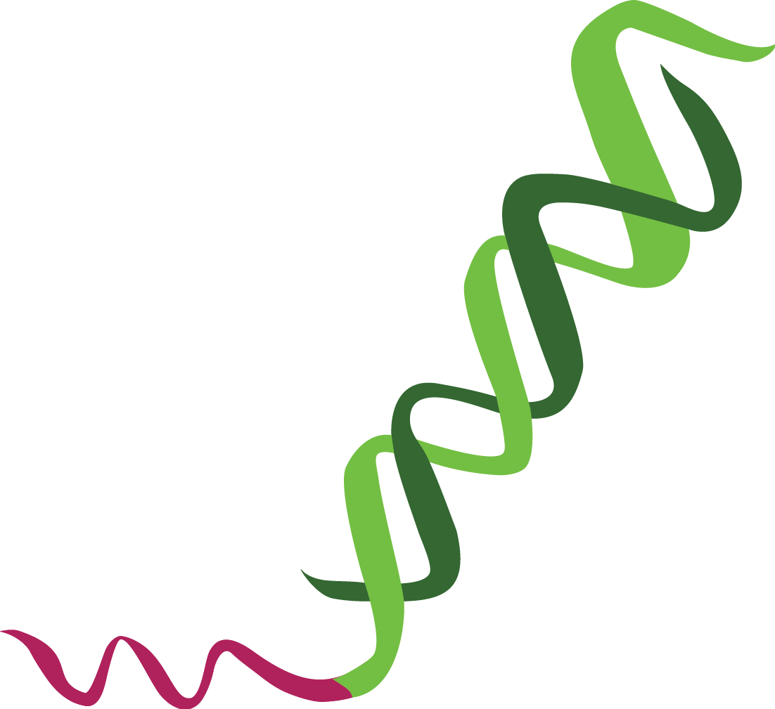Sirna With Dna Extension - Calligraphy Clipart - Full Size Clipart ...