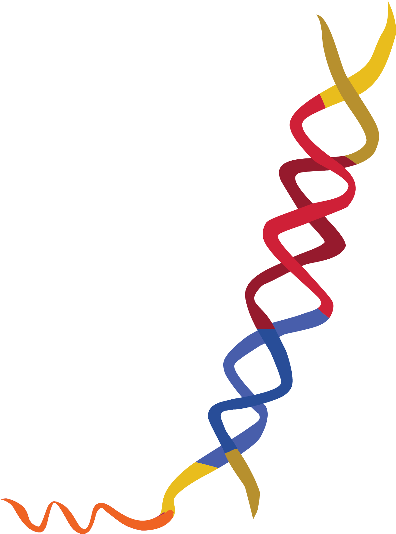 Gene With Dna Extension - Calligraphy Clipart - Full Size Clipart ...