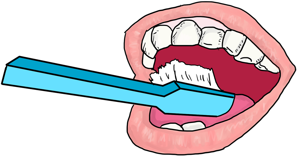 Download Brushing Cleaning Dental Hygiene - Brush Teeth Transparent ...