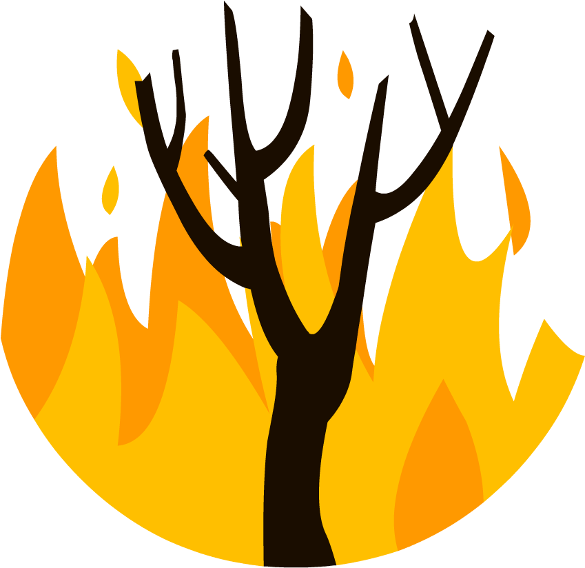 Wildfire Clipart Png , Png Download - Wildfire Clipart Transparent Png ...