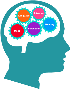 Download Memory Clipart Neuropsychology - Transparent Cognitive Clipart ...