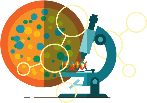 Download Free Field Work - Interdisciplinary Research Icon Clipart ...
