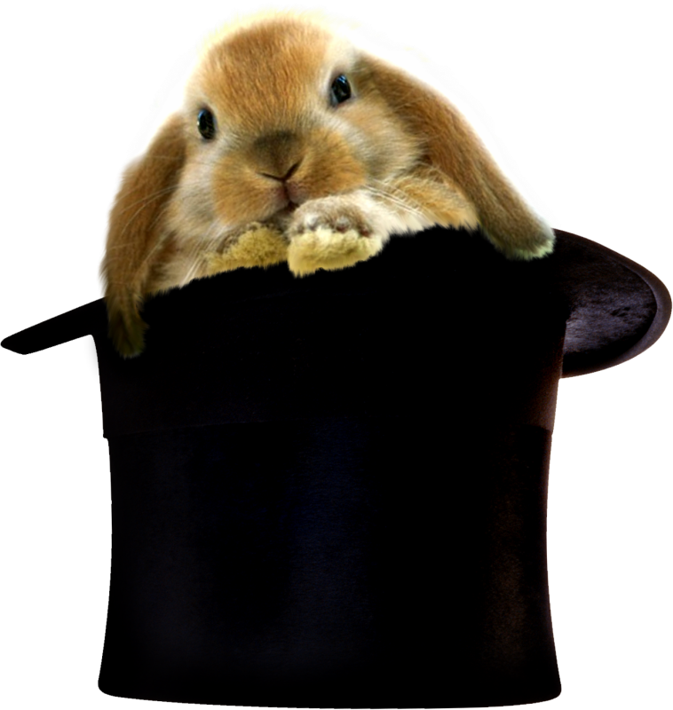 Rpg Setting - Divergent hogwarts - Rabbit Magic Hat Clipart - Full Size ...