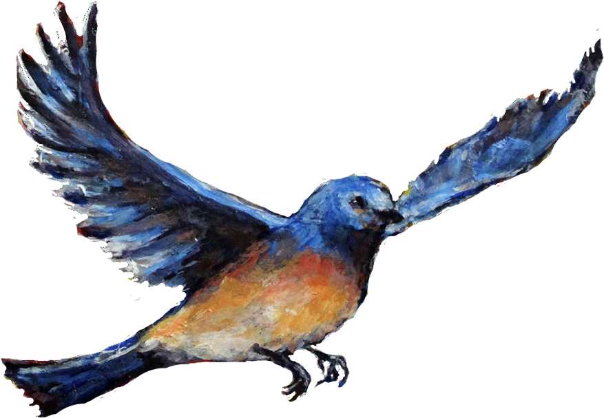 Hd Mountain Bluebird Transparent Png Image Download - Watercolor Bird ...