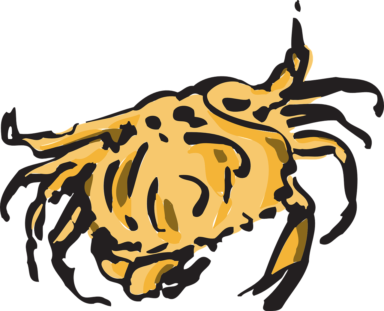 Crab Shell Pincers Free Photo - Fresh Crab Clipart - Full Size Clipart ...