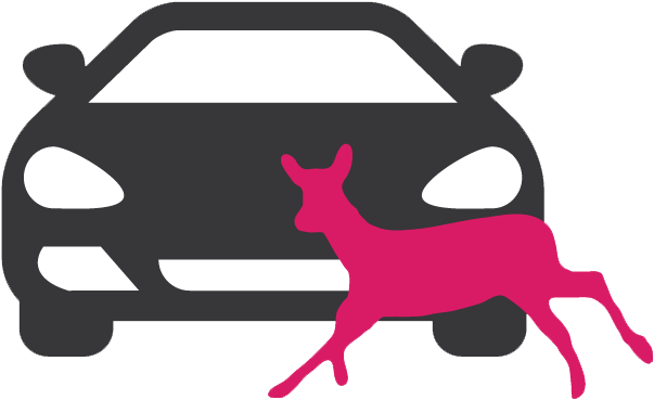 Animal-vehicle Collisions - Car Icon Vector Png Clipart - Full Size ...