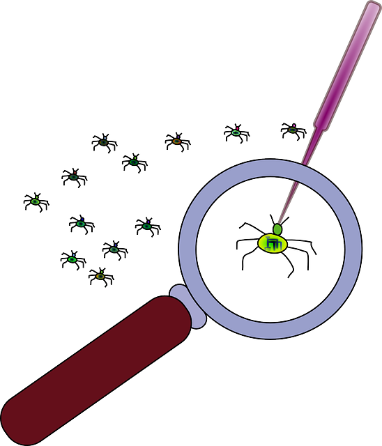 Bug, Insect, Destroy, Debugging - Debugging Clipart - Png Download ...