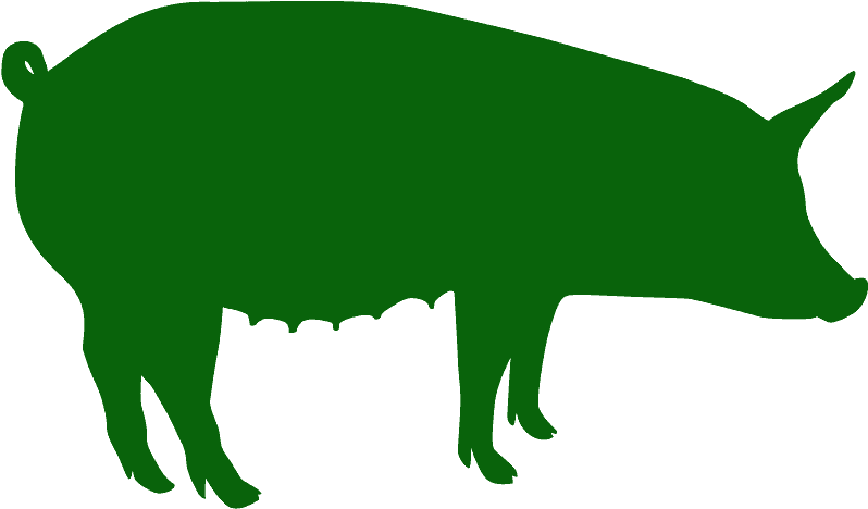 Green Pig Silhouette Clipart - Full Size Clipart (#5750271) - PinClipart
