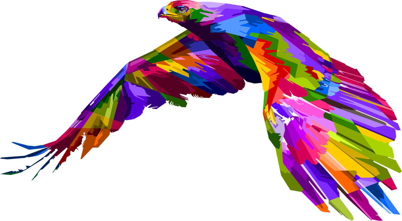 Macaw,parrot,vertebrate - Colorful Animal Geometric Art Clipart - Full ...