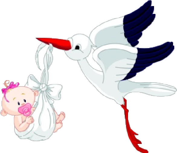 Stork With Baby Girl Png Clipart - Full Size Clipart (#5761271 ...