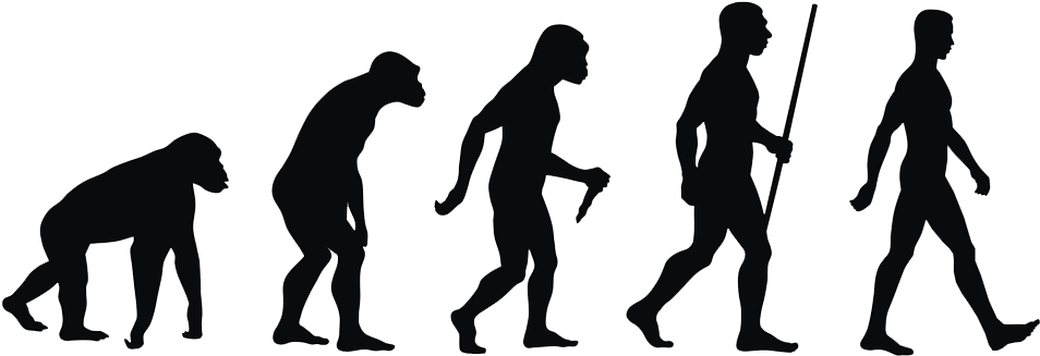 Human Evolution Png - Evolution Of Man Transparent Clipart - Full Size ...