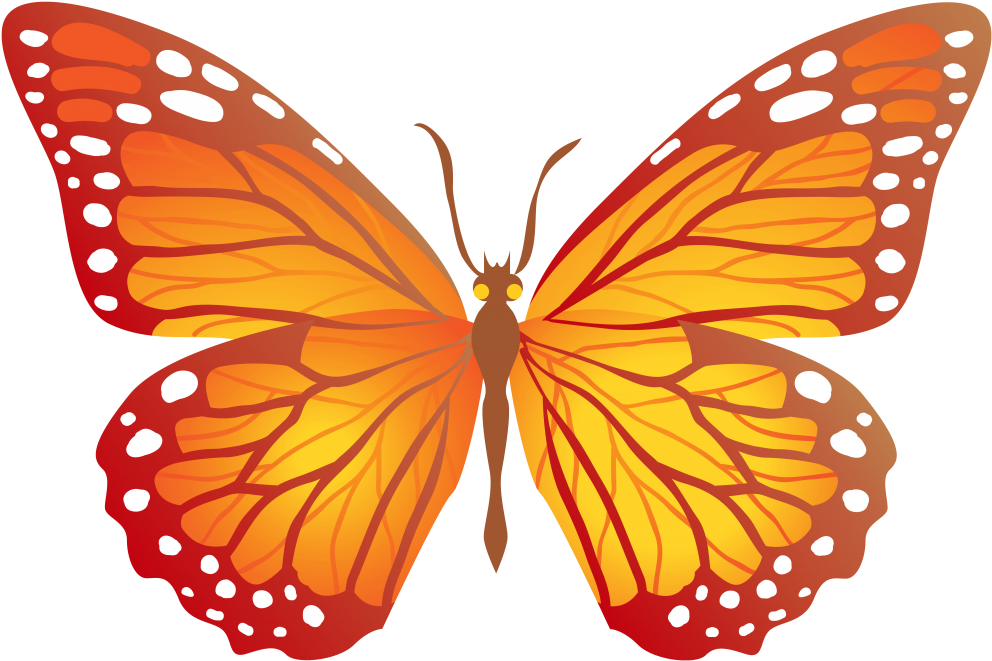 Download Orange Butterfly Clipart Png Transparent Png (#5764933 ...