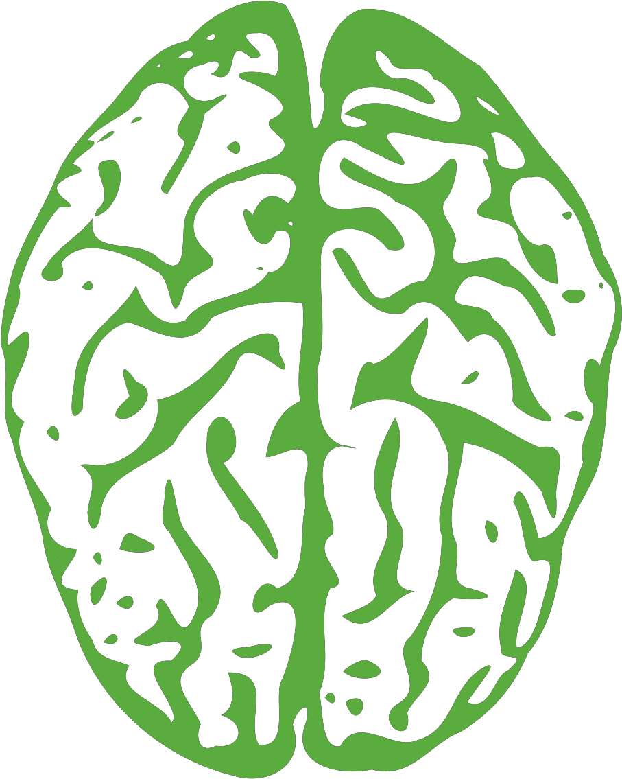 Transparent Background Brain Clipart - Png Download - Full Size Clipart ...
