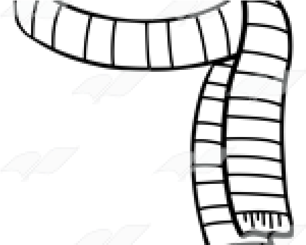 scarf-clipart-full-size-clipart-581498-pinclipart