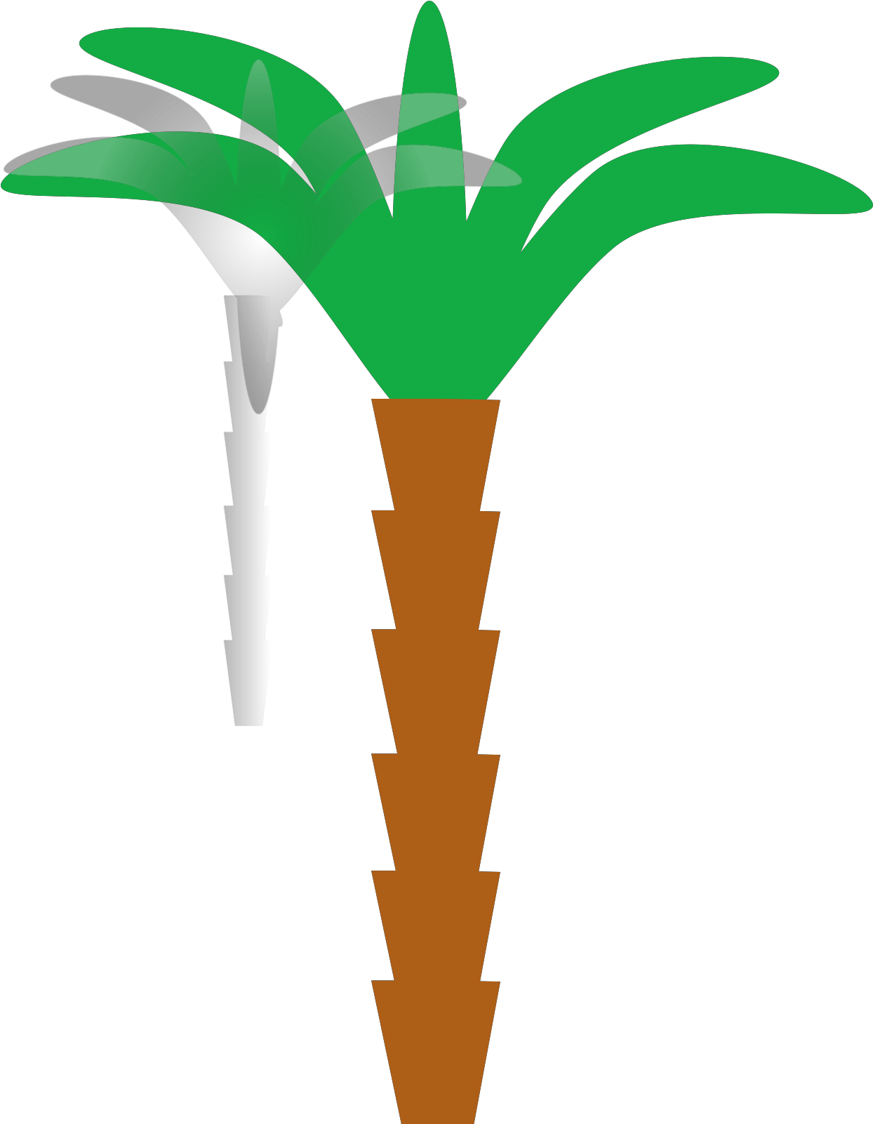 Cartoon Small Palm Tree Clipart - Full Size Clipart (#5800451) - PinClipart