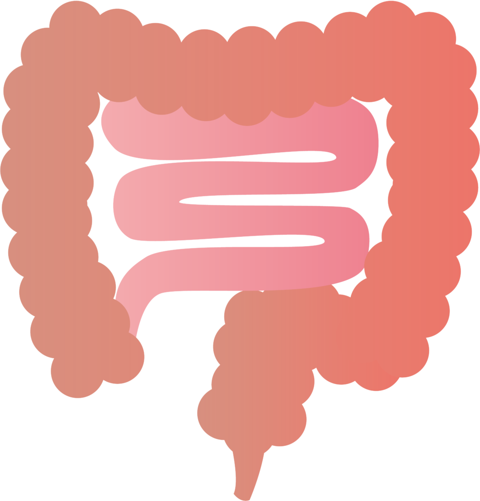 Large Intestine Colorectal Cancer Endoscopy - Transparent Intestine ...