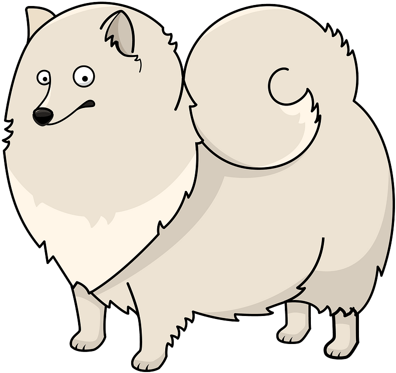 Spetshund Clipart - Dog - Png Download - Full Size Clipart (#5814906 ...