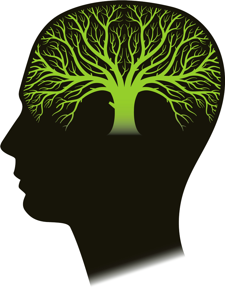 Help For People With Adhd Learning Disorders - Bradfield School ...