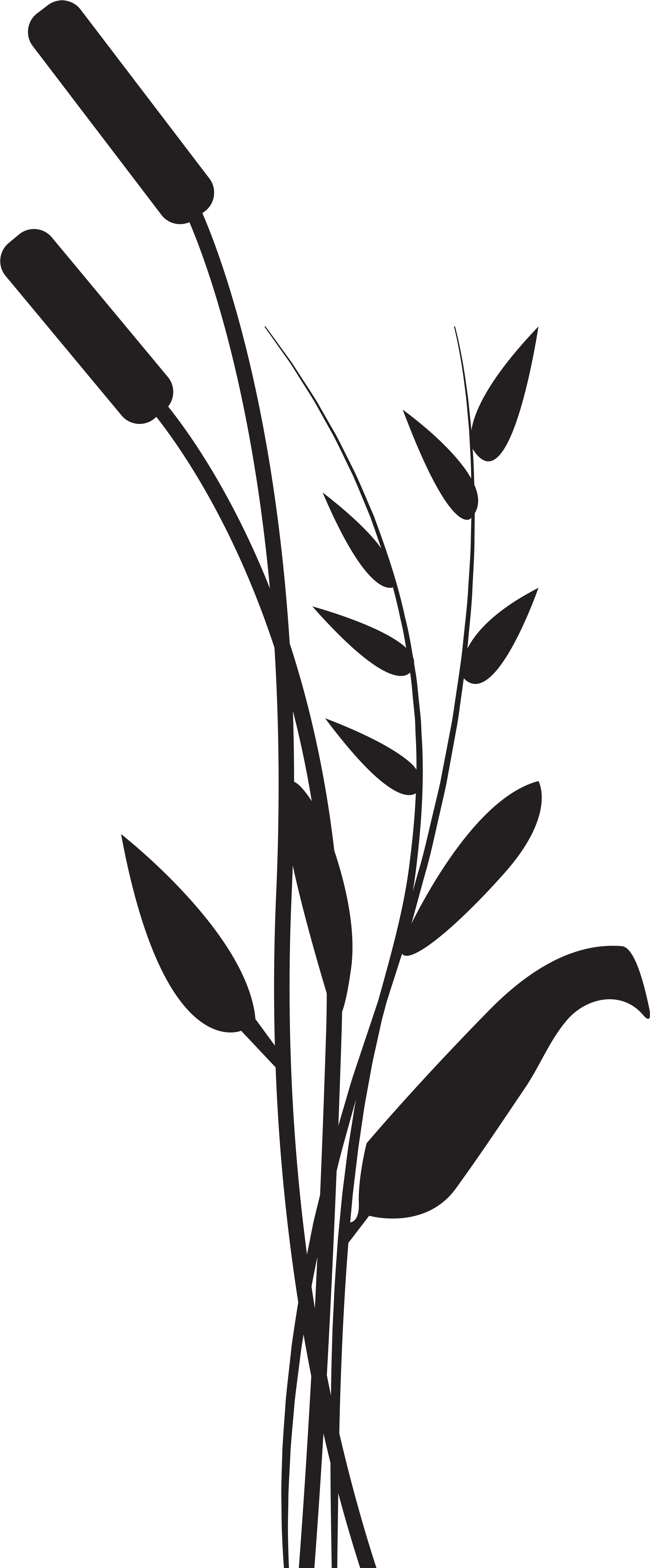 Bulrushes Clipart Silhouette - Png Download - Full Size Clipart ...