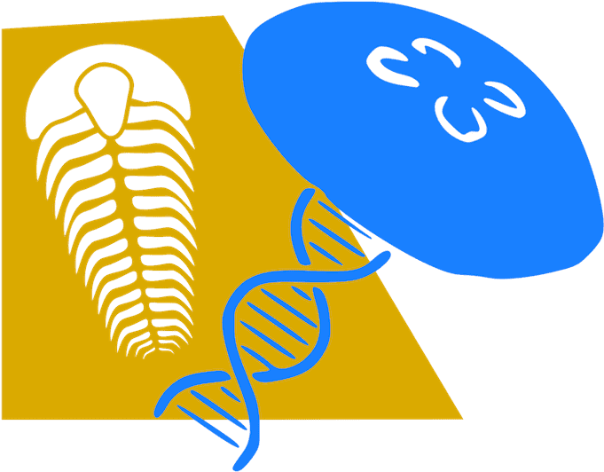 Cell Differentiation And Tissue Regeneration Across - .com Clipart ...