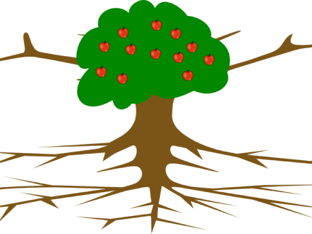 Trunk Clipart Apple Tree - Clip Art - Png Download - Full Size Clipart ...