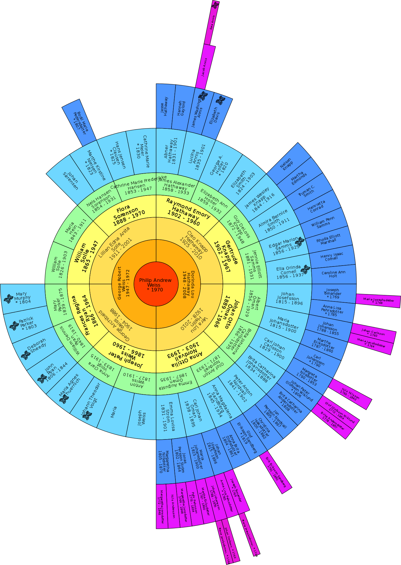 The Big Tree Fan Chart With Dna Matches Marked - Genealogy Clipart ...