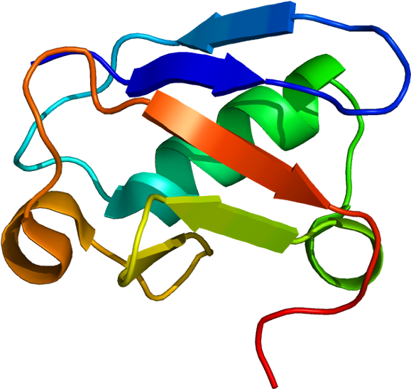 Download Protein Aspscr1 Pdb 2al3 - Protein Clipart (#701629) - PinClipart